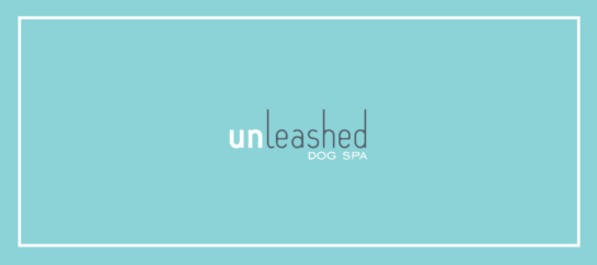 The 10 Best Dog Grooming Shops in Vancouver [2026 ]