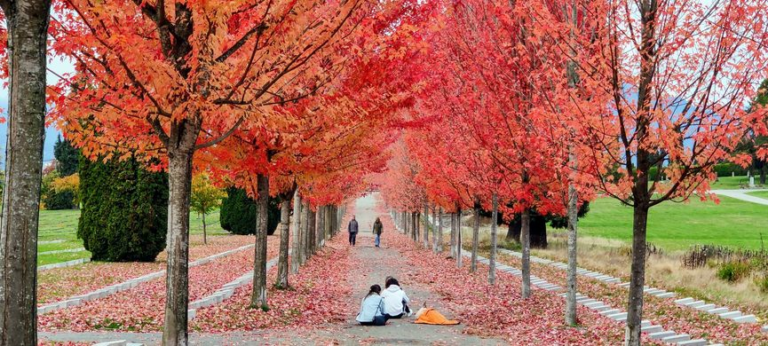 A Comprehensive Guide to Mountain View Cemetery in Vancouver
