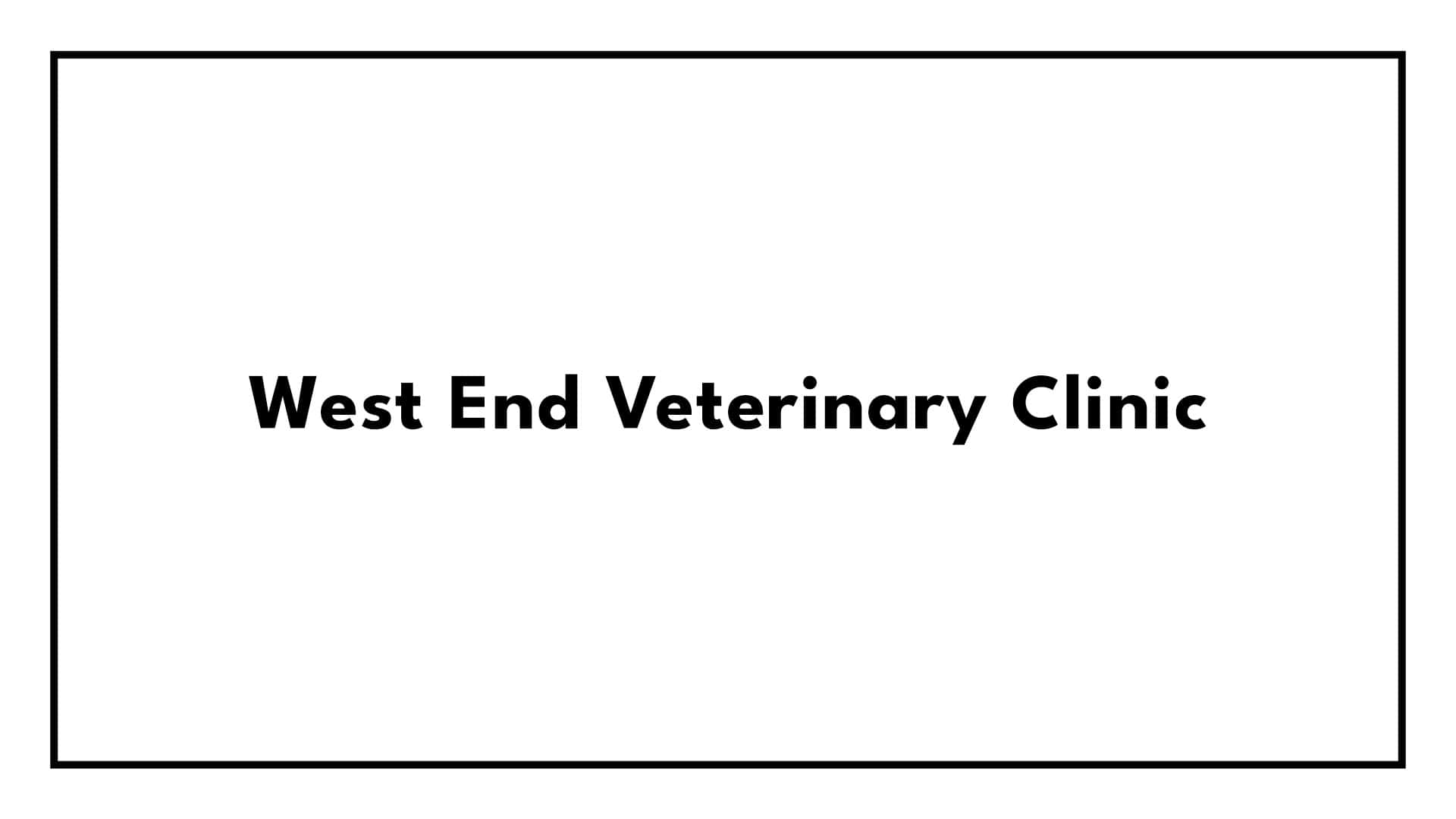 Top 11 Best Veterinarians in Vancouver - The Best Vancouver