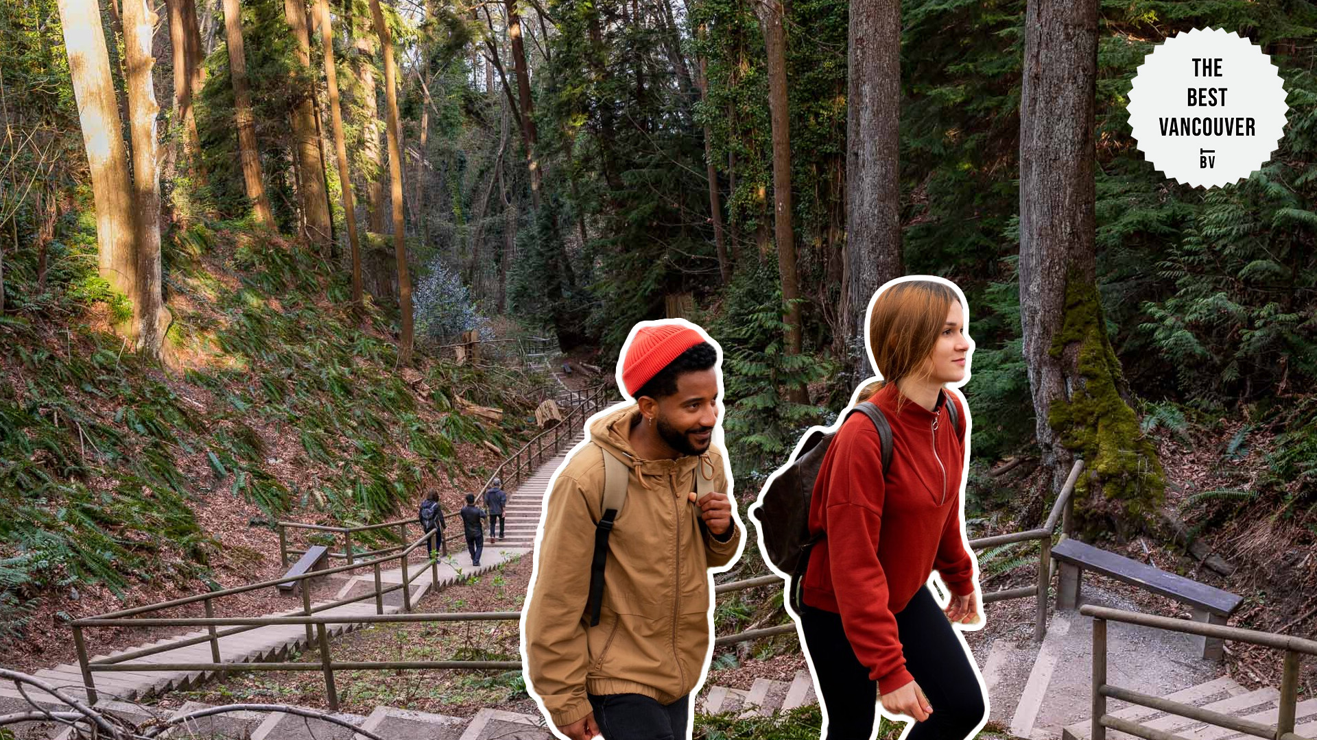 Trails in Pacific Spirit Park That You Have to Explore