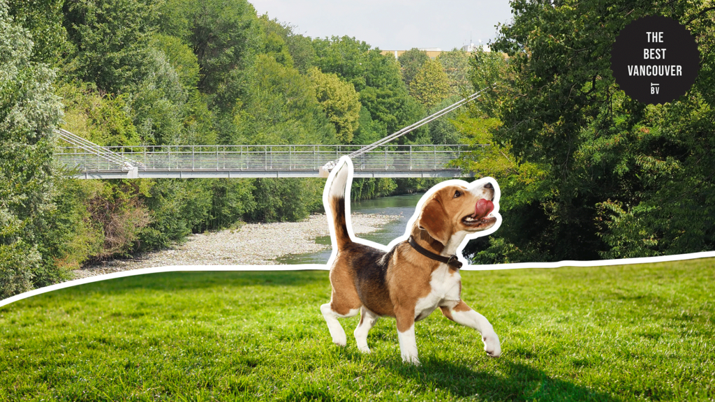 Craving the Outdoors? Here’s Your Guide to the Inter River Park