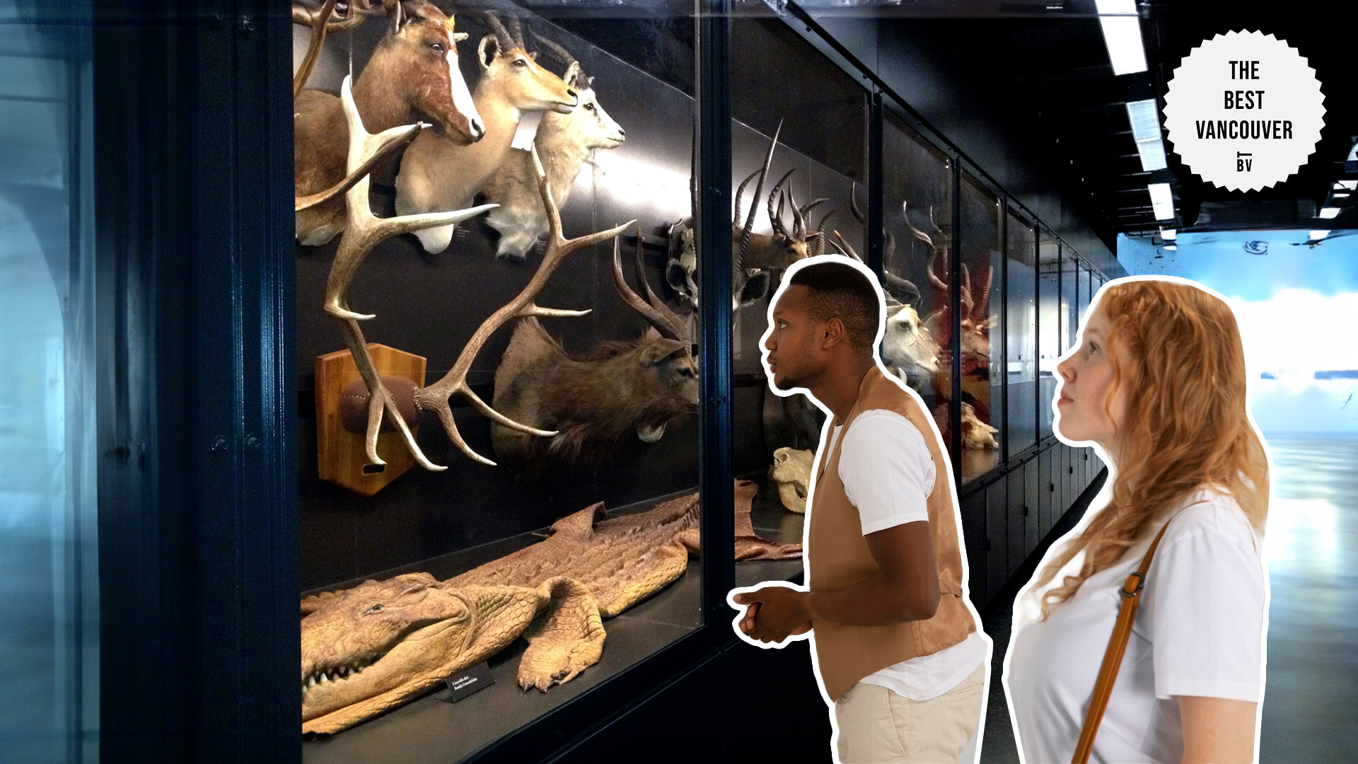You Absolutely Must Visit the Beaty Biodiversity Museum in Vancouver!