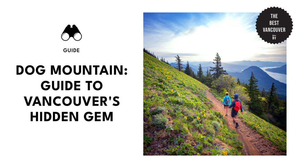 Heading to Surrey? Here’s Everything You Need for an Amazing Visit!