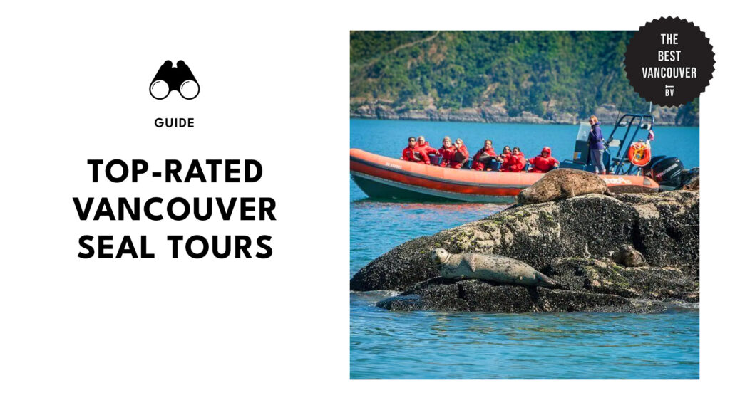 Greater Vancouver Zoo: All You Need to Know About Vancouver’s Haven for ...