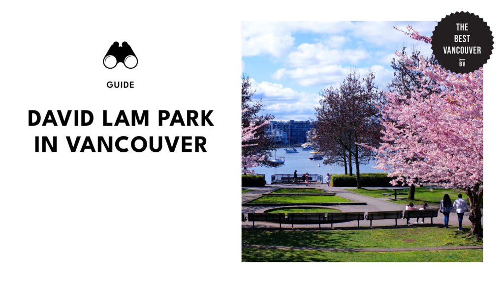Navigating Main Street: Your Ultimate Guide to One of Vancouver, Canada ...