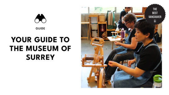 Why The Museum of Surrey is a Must-Visit Gem [2025]